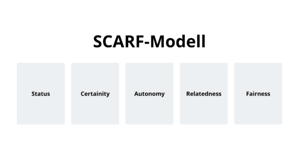 Das SCARF-Modell und die Sozialen Berufe, oder: Wie Deine Mitarbeiter ...